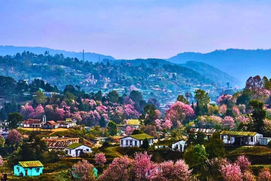 Why Shillong Became India’s Most-Searched Destination in 2025 - Prime ...