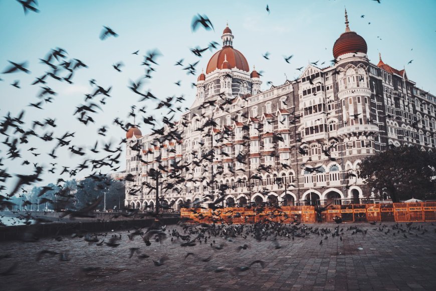 First Class or Full Crush: Decoding the Chaos of Mumbai's Transport ...